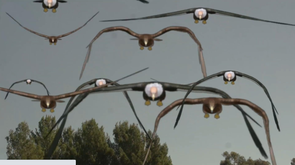 Birdemic 2